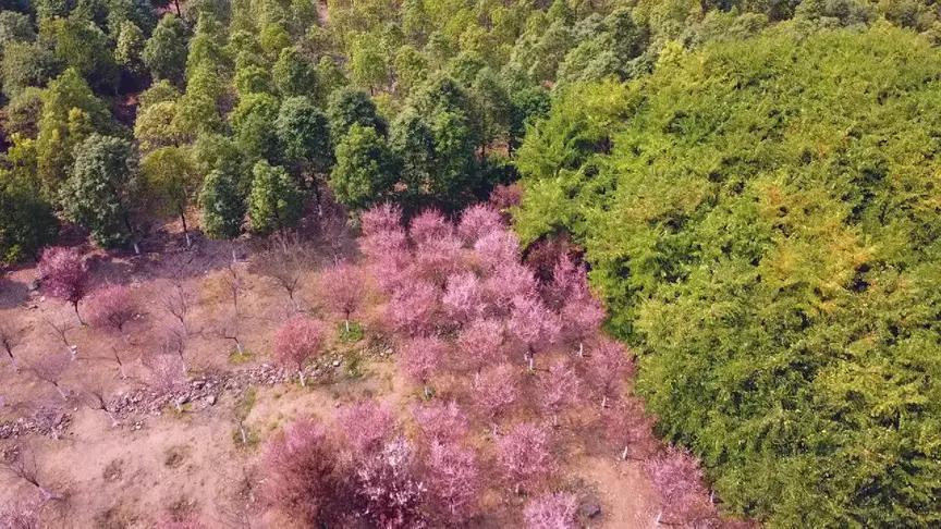 DJI大疆mini无人机双机试飞