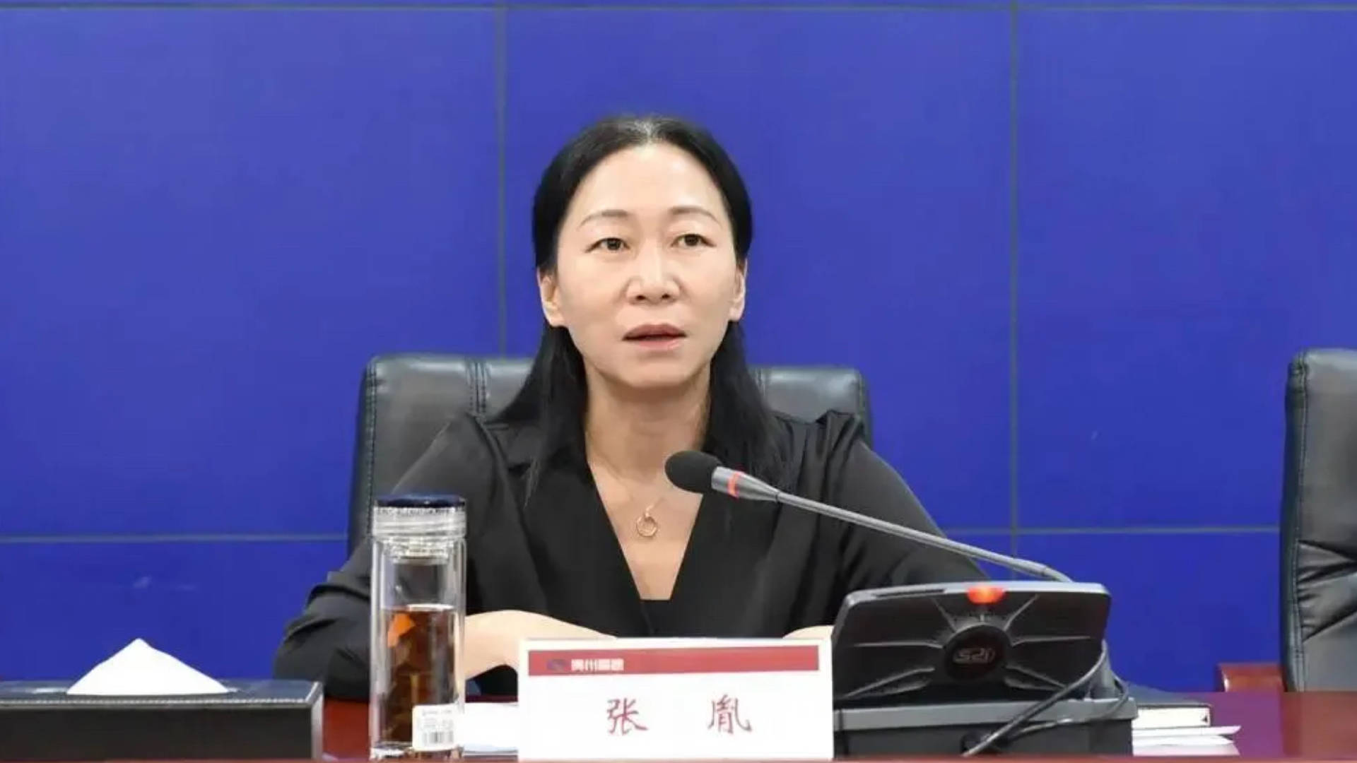 被免职第2天,女厅长官宣落马