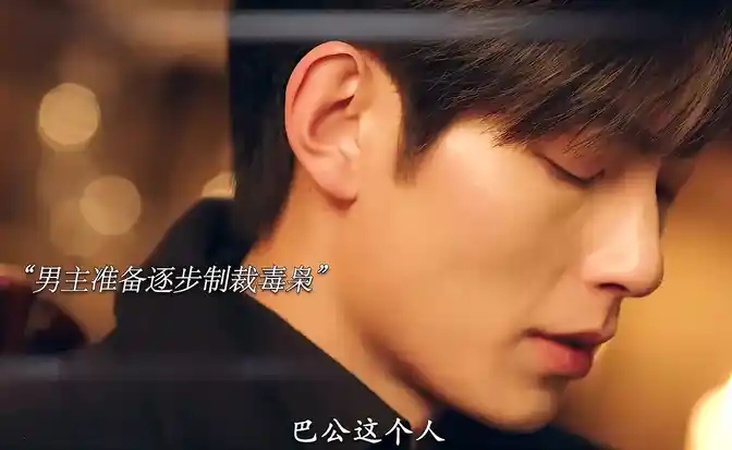男主任务不幸重伤,女主直接扛起大旗继续完成他未完成的任务