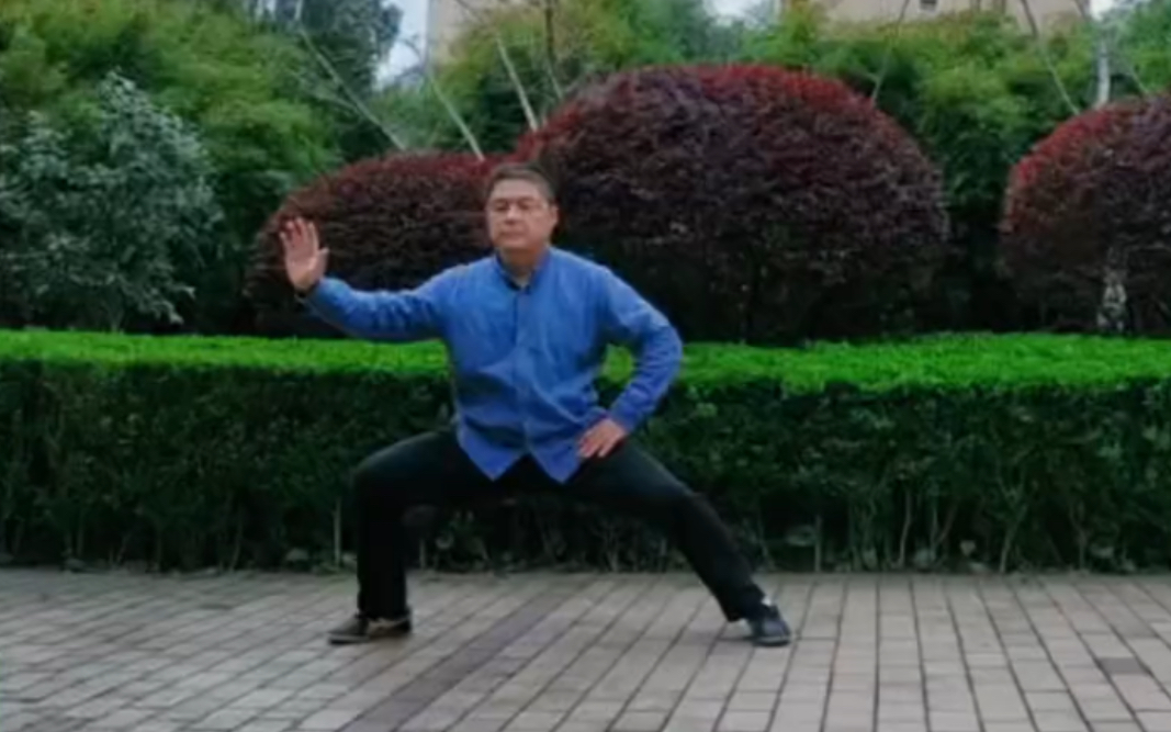 华东师大体育与健康学院李富刚老师,为大家推介拳架练习:六式太极拳,...