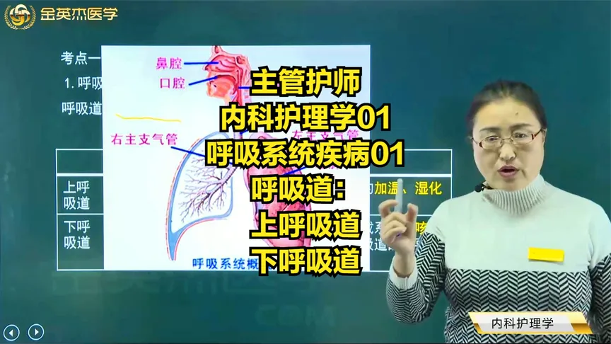 呼吸系统01呼吸道:上呼吸道和下呼吸道的分界点,构成及功能区别
