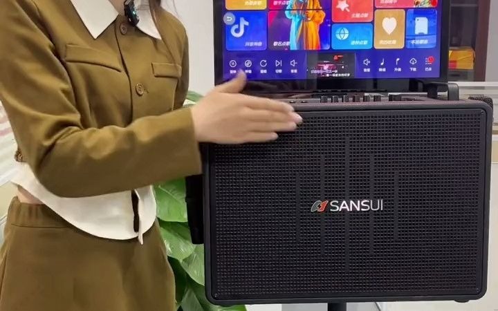 山水户外K歌音响-声卡音响一体机 山水音响 卡拉ok音响 k歌音响 家庭...