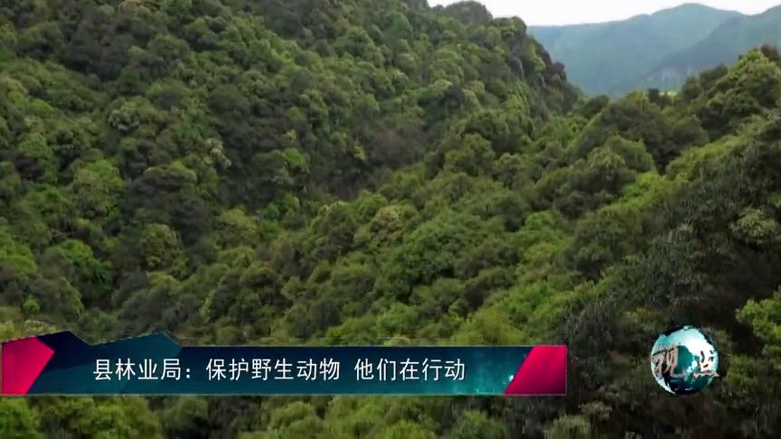 视点——县林业局:保护野生动物,他们在行动