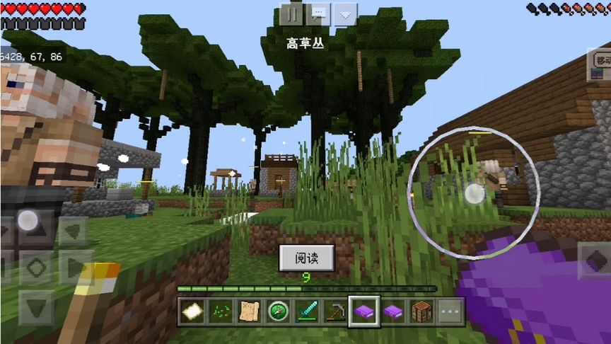我的世界暮色森林第4期