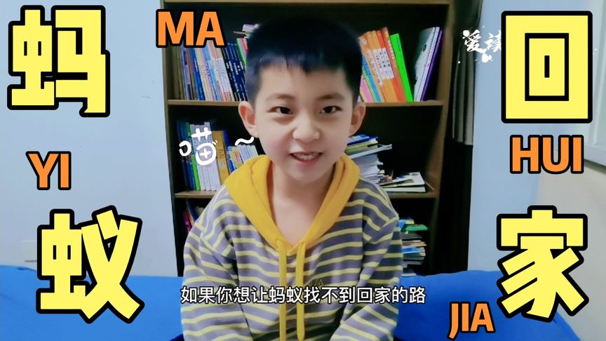 动物王国中,小小的蚂蚁怎么找到回家的路?一分钟为你揭秘