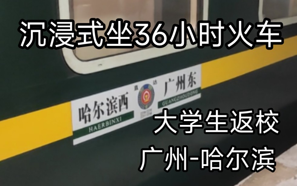 Z237|36小时火车|大学生返校|广州东-哈尔滨西|沉浸式坐火车