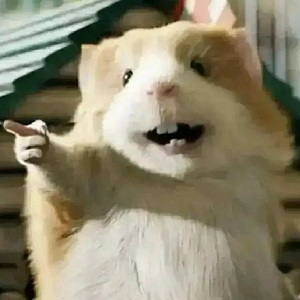 屿杼 