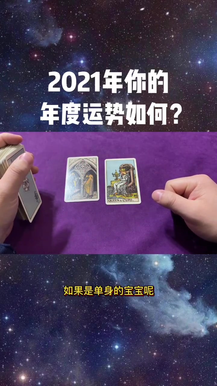禅卡塔罗牌日常测试合集