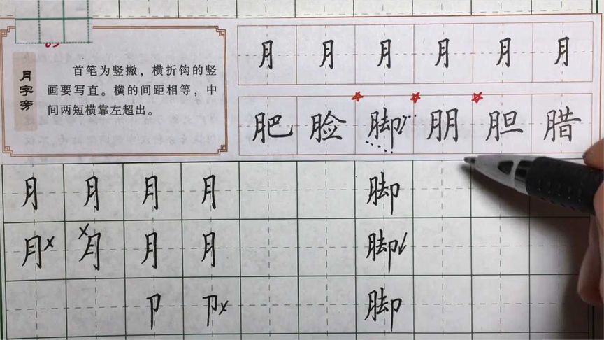 硬笔书法怎么练,硬笔书法 小学生练字全集,中国硬笔书法协会