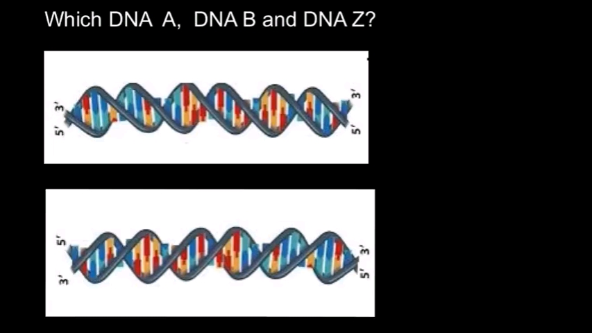 如何识别左手螺旋和右手螺旋DNA