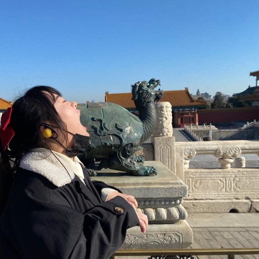 油碗总思密达 