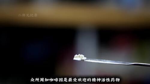 如何从咖啡中提取“咖啡因”。化学实验 科普知识 化学 咖啡因
