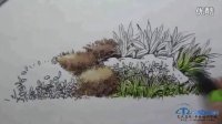 福建手绘——景观设计园林一角