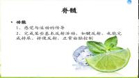 护老培训-老年人护理基础PPT
