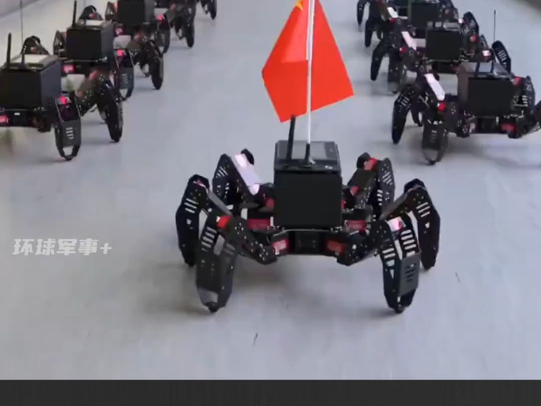 红警玩家长大了“蜘蛛雷”真要来了,六足智能机器人组成编队跳舞,带...