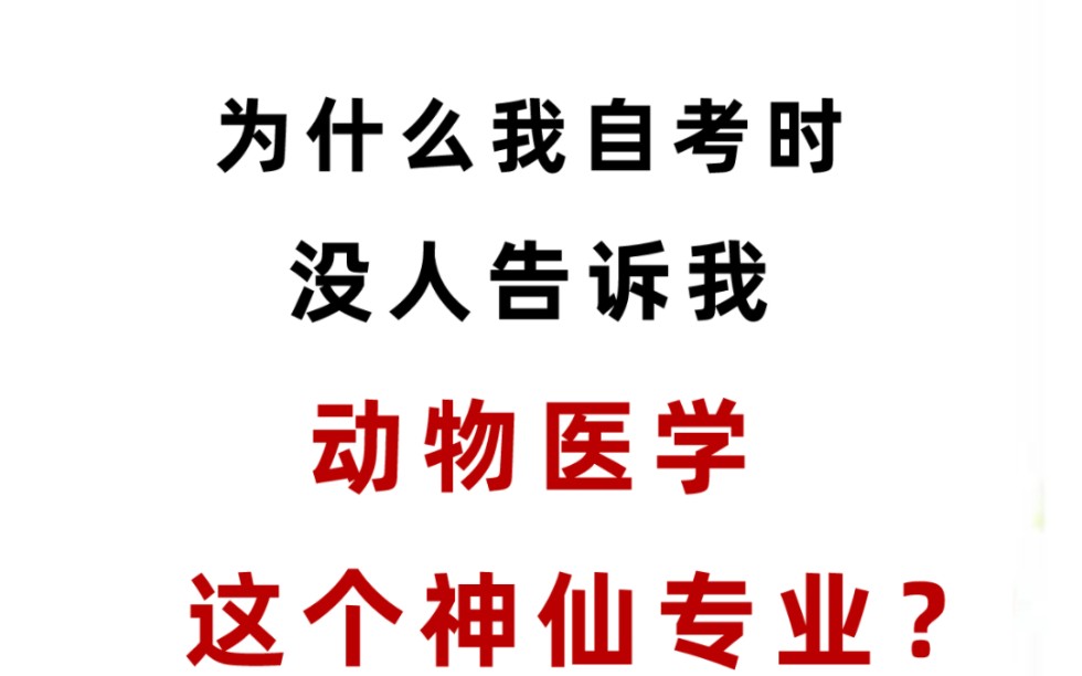 为什么我自考时,没人告诉我动物医学这个神仙专业