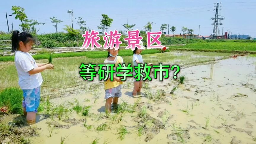 9月份的研学旅行能够复苏吗?很多景区将研学市场当成救市稻草