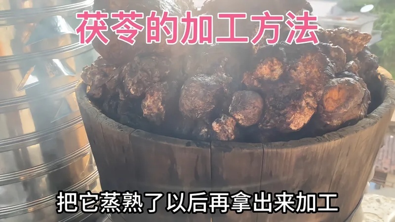 茯苓是一种很好的药食同源药材,但是加工比较耗时费力,您见过吗