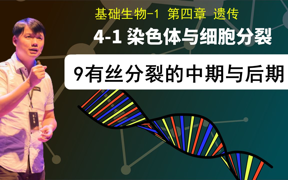 基础生物学4-1.9与有丝分裂的中期和后期