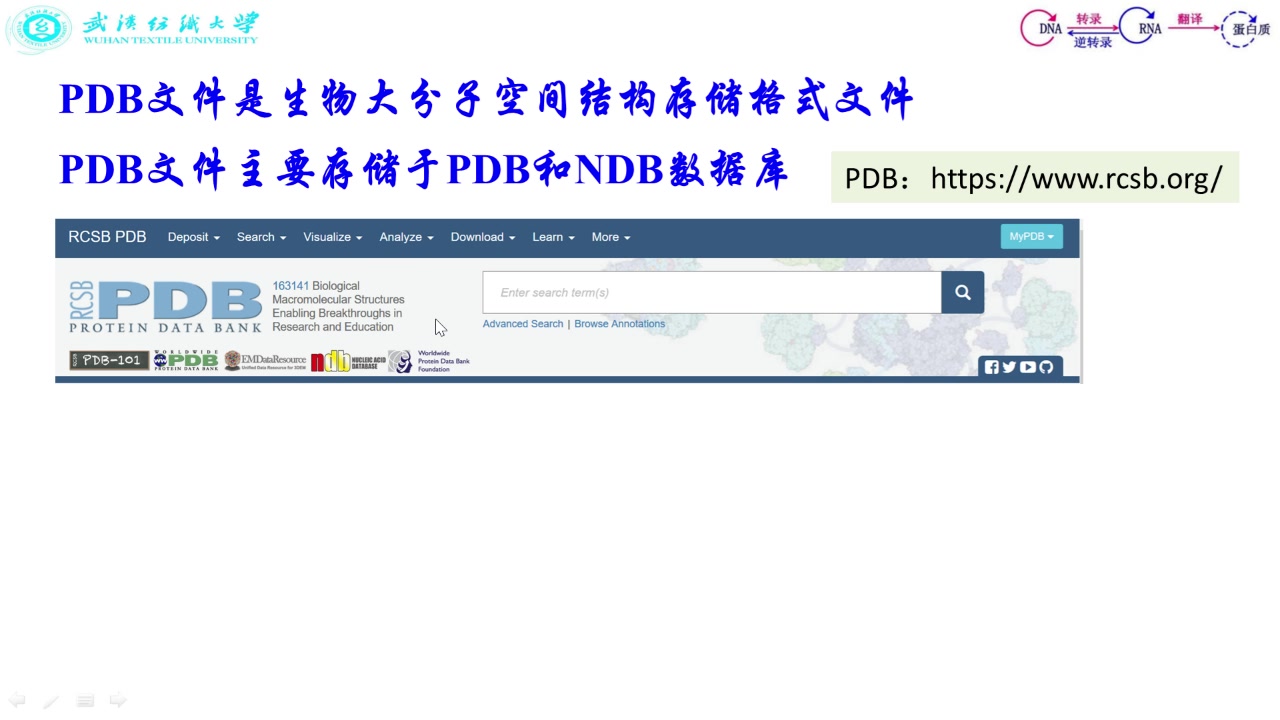 生物大分子PDB格式文件解读