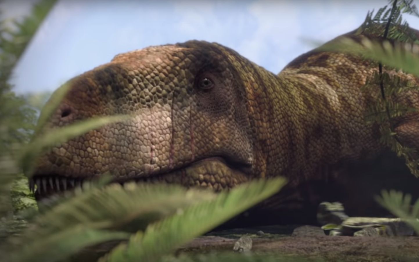 侏罗纪时代 肉食恐龙全部死于河里的细菌