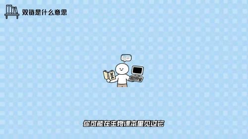 双链笔记颠覆你的知识管理!3分钟看懂高效学习法