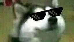 如何让手机版我的世界变成电脑版?让我来教你