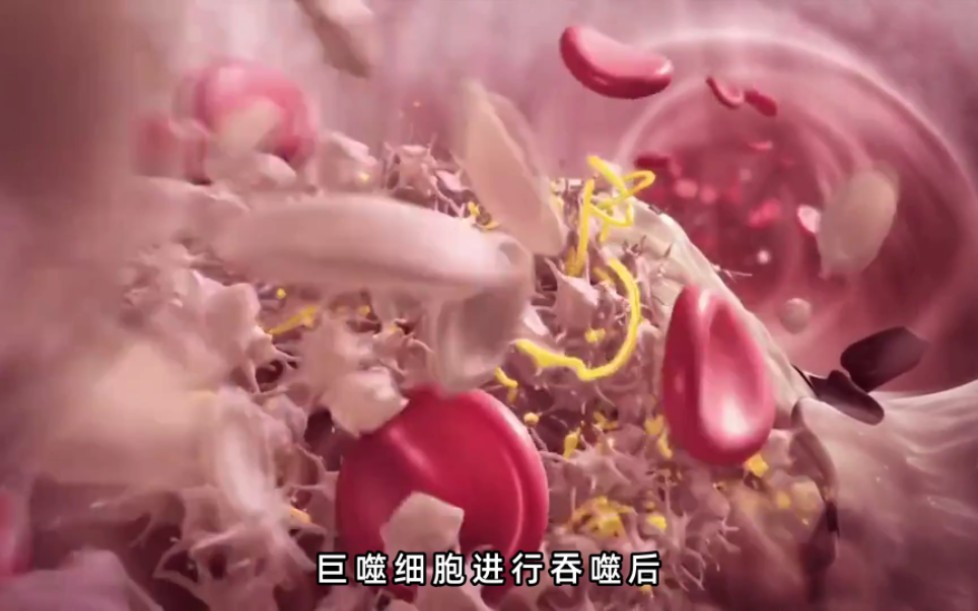 如果病毒入侵了身体,体内会发生怎么样一场细胞大战呢?