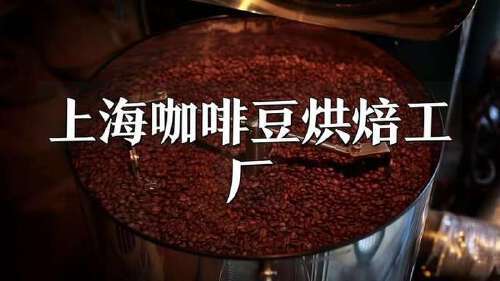 探秘魔都咖啡工厂!一杯好咖啡原来是这样炼成的