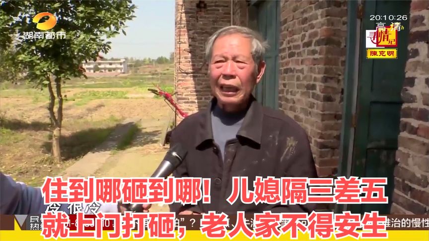 住到哪砸到哪!儿媳隔三差五就上门打砸,老人家不得安生