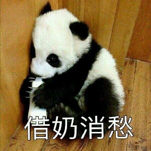 夜宵大户某某驴 