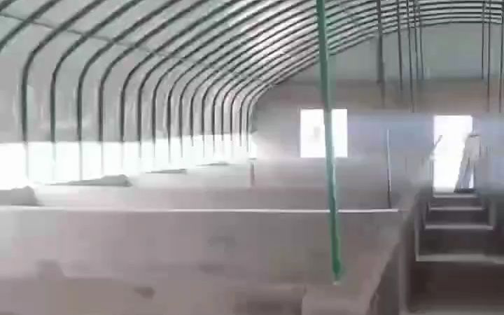 养猪棚施工建设 钢架猪舍大棚搭建 安装养猪大棚成本 猪舍建造方法