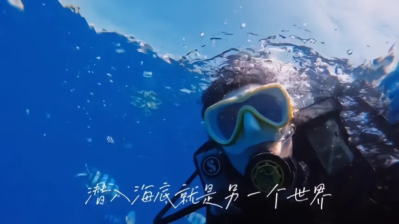 奇妙的海洋生物 一起看看海底世界 潜到海底去看你 水下世界