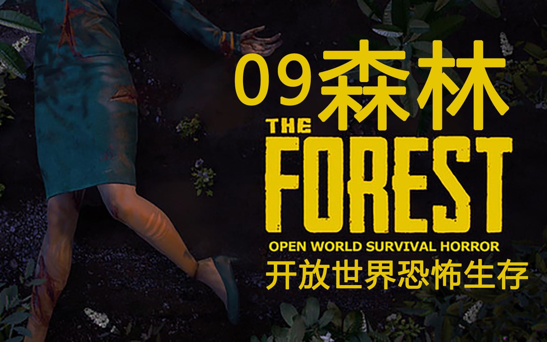 与朋友联机瀑布洞穴冒险.09.森林【PC】中文剧情精剪辑实况攻略解说...