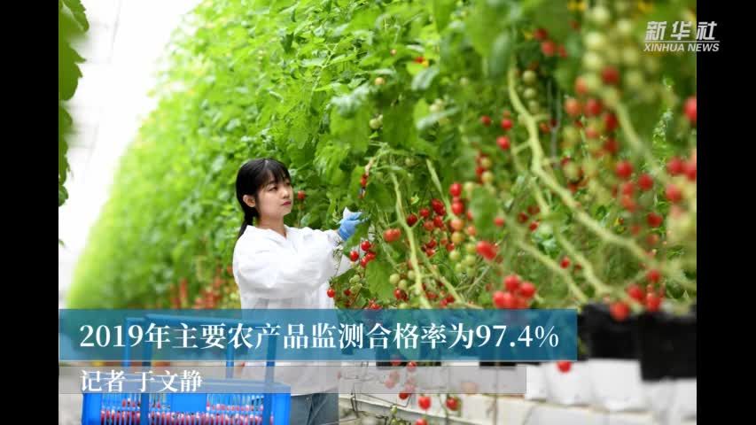 2019年主要农产品监测合格率为97.4%