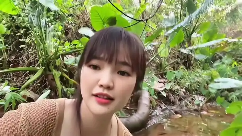 这是我们夏天该有的样子