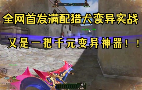 全网首发满配猎犬,竟又是新一代神器?_网络游戏热门视频