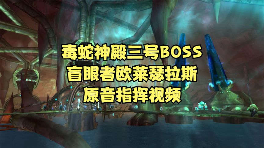 毒蛇神殿攻略,三号BOSS盲眼,原音指挥开荒视频(时年出品)