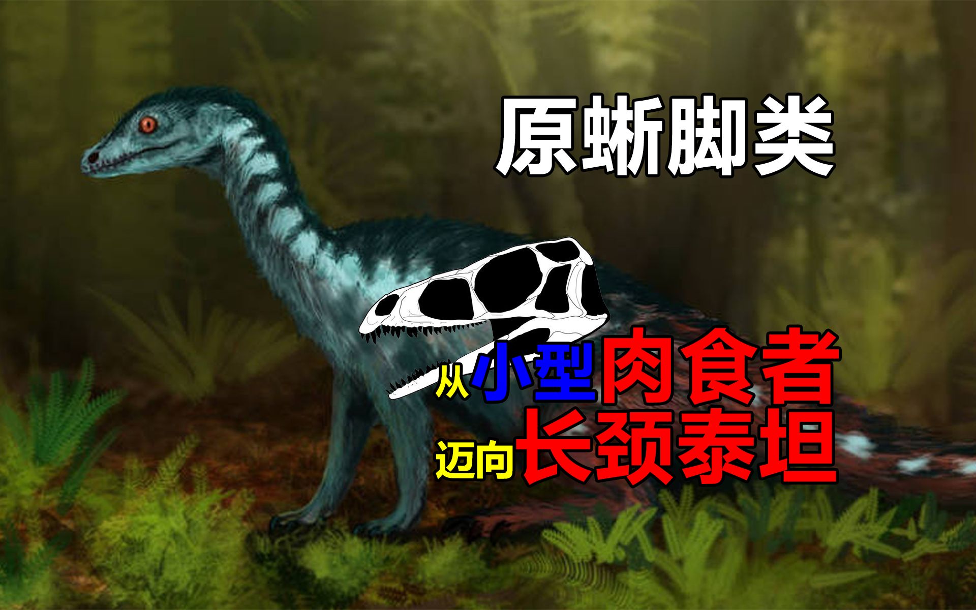 早期原蜥脚类:腕龙、雷龙、梁龙的早期肉食性祖先