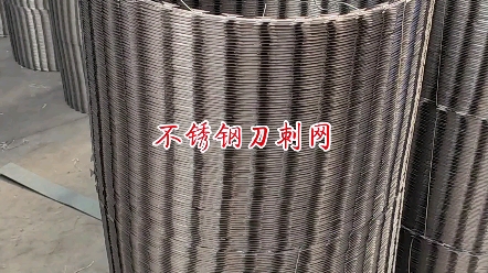 学校围墙刀刺螺旋不锈钢防盗网