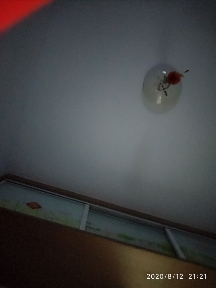 小說了沒 