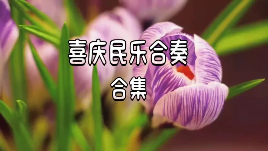 喜庆民乐合奏合集 欢快的节奏 赏心悦目 感受传统文化之美