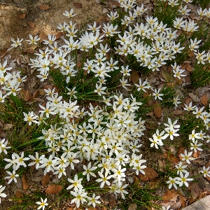 一个恐怖的男人 