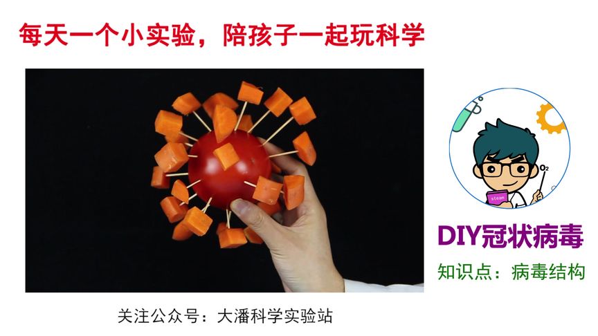 科学小实验:我是谁?DIY冠状病毒简易模型