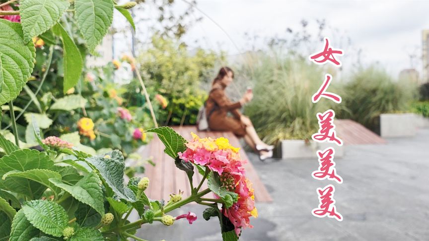 门丽一首《女人就要美美美》歌词太真太现实,唱出了女人的内心!