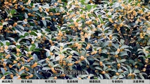 1501. 桂花树怎么画简单好看