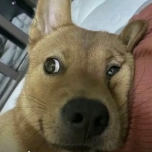 等哒哒哒哒哒哒哒哒 