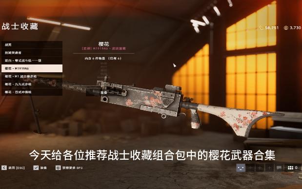 战地5萌新推荐武器枪皮