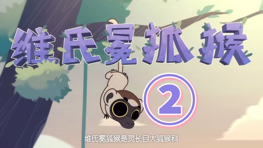 树木减少,破坏了他们的家园。#保护野生动物 #涨知识 #保护环境