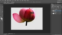 ps背景 ps怎么磨皮 ps羽化在哪 ps素材